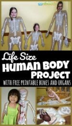 🦴 EPIC Skeletal System Projects Ideas for Kids