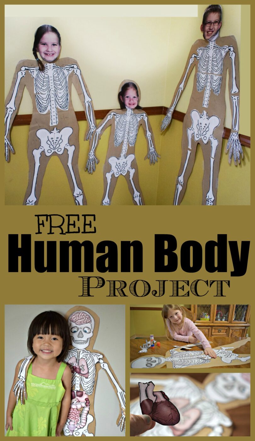 Life-Size Human Body Project for Kids - FREE Skeleton Bones & Organ ...