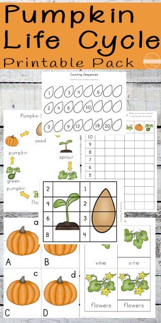 FREE Pumpkin Word Family Sliders