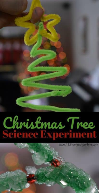 🎄 Spinning Christmas Tree Science Experiments