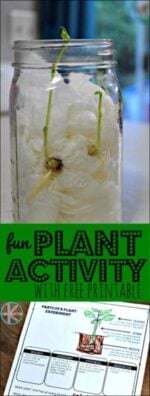 🌱 Plants for Kids - Botany Experiments, Activities, and Worksheets