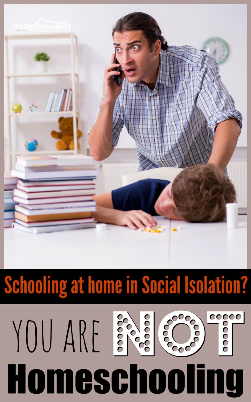 You are CRISIS-Schooling, NOT Homeschooling