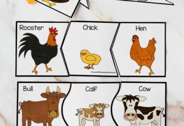 Printables Archives - Page 26 of 91 - 123 Homeschool 4 Me