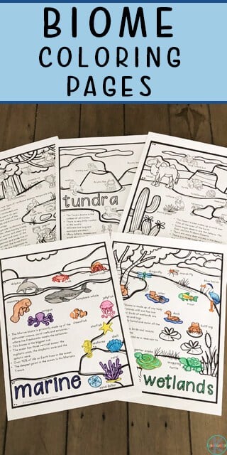 🦜FREE FREE Printable Jungle Animal Coloring Pages pdf