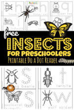 🕸 FREE Printable Life Cycle of a Spider Worksheets for kids