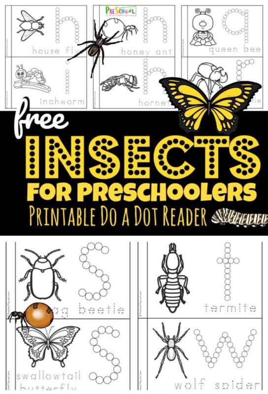 🦗🦟🦋🐞 FREE Printable Insect Worksheets for Kids