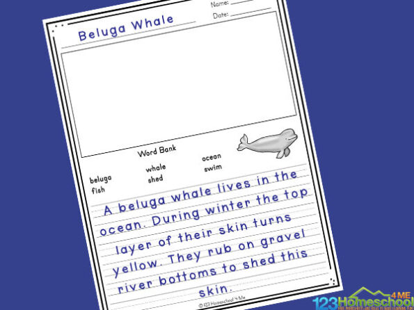 🐳 FREE Whale Printable Writing Prompts