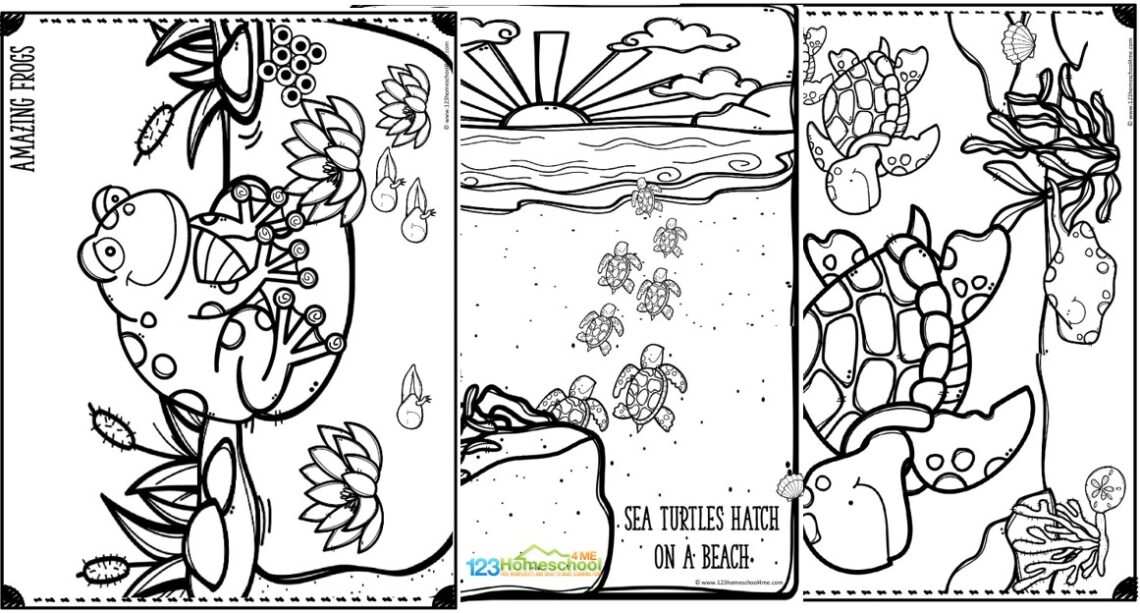🐢🐸🐍 Aquatic Herps for Kids (Sea Turtles, Frogs, Salamanders)