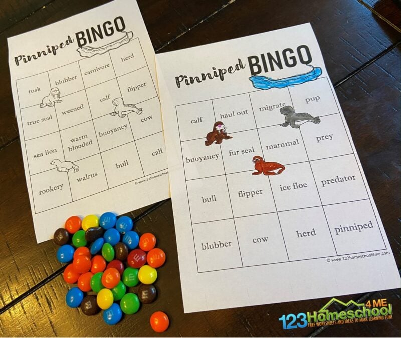 All About Pinnipeds for Kids - Seals, Sea Lions, & Walrus Worksheets