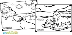 All About Pinnipeds for Kids - Seals, Sea Lions, & Walrus Worksheets