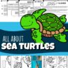 🐢 FREE Life Cycle of a Sea Turtle for Kids Printable Reader