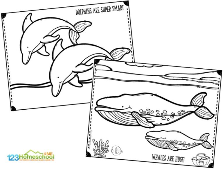 All About Whales Lesson w/ Facts, Worksheets, Printables & more!