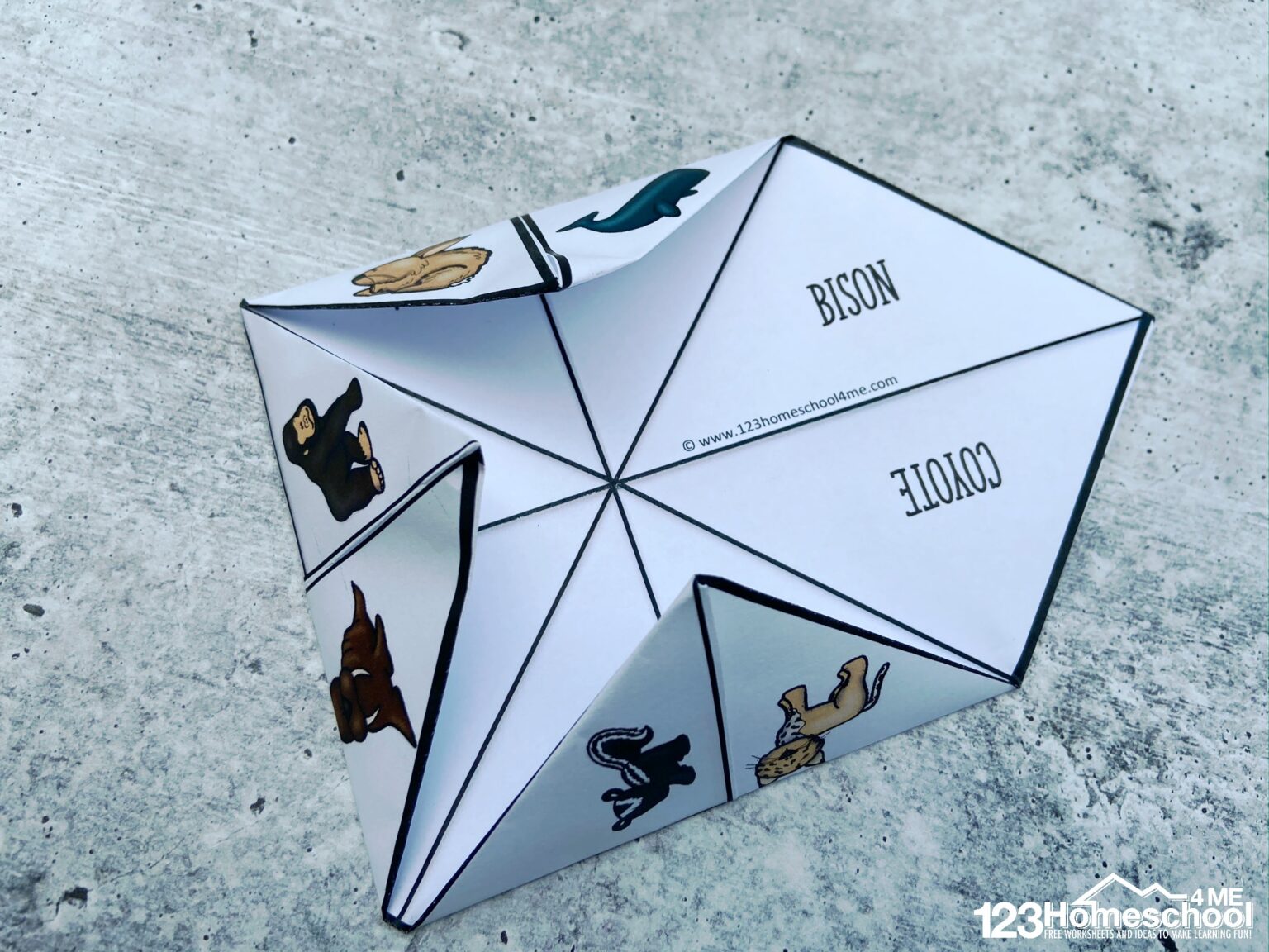 🦁🐢🦩 FREE Animal Classifications for Kids Cootie Catchers Activity