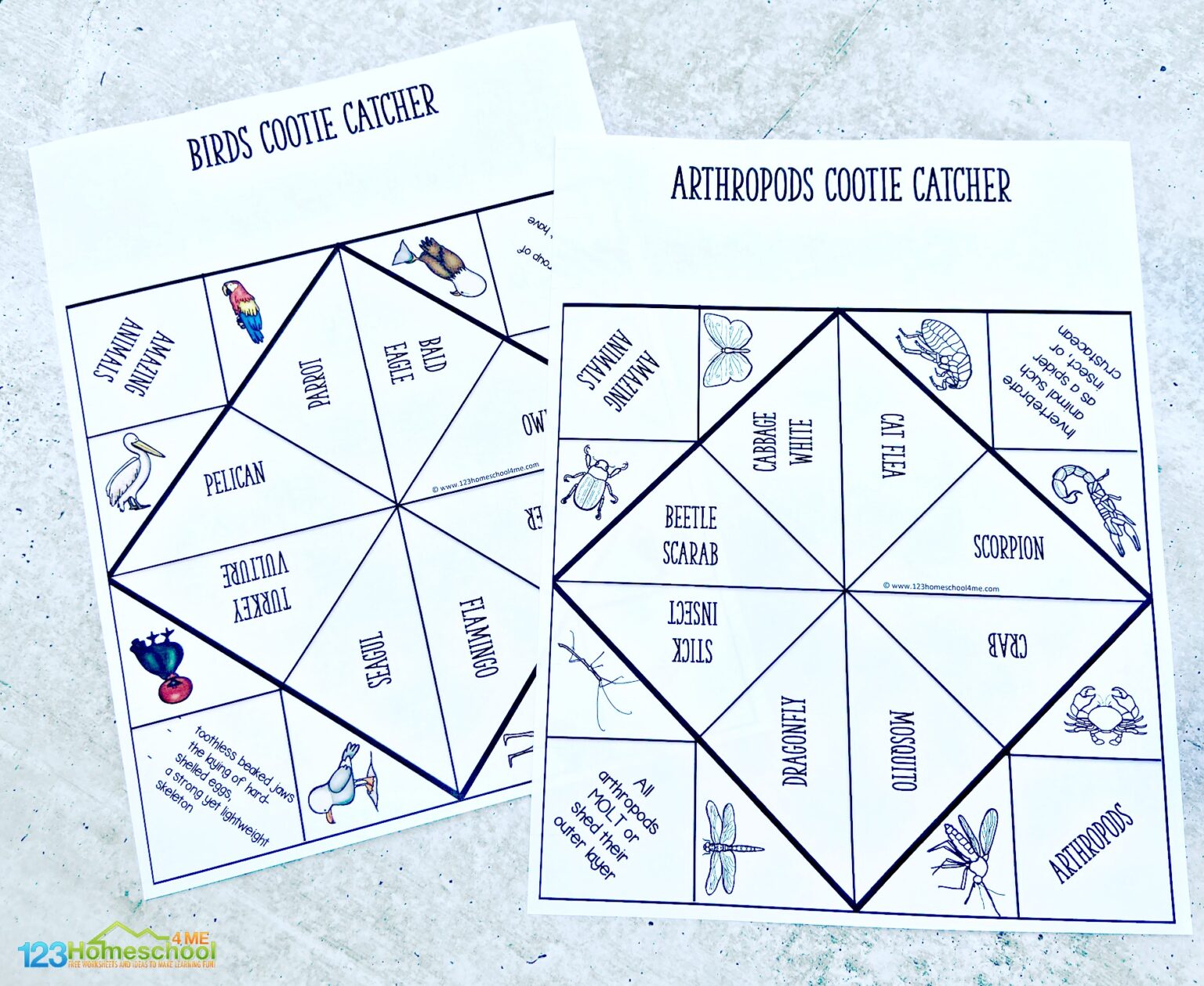 🦁🐢🦩 FREE Animal Classifications for Kids Cootie Catchers Activity