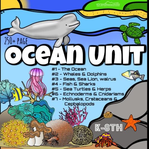 Ocean Animals UNIT - 123 Homeschool 4 Me