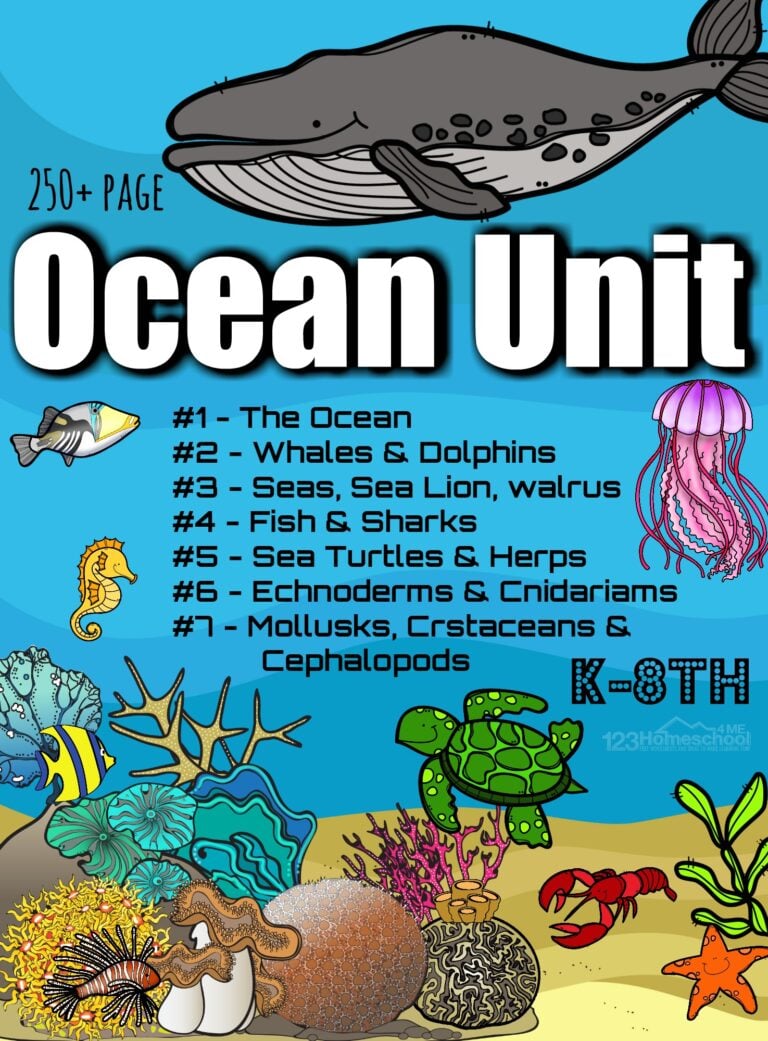 HUGE Ocean Animals Lesson