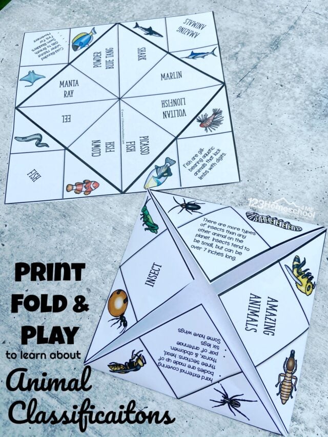 🦁🐢🦩 FREE Animal Classifications for Kids Cootie Catchers Activity