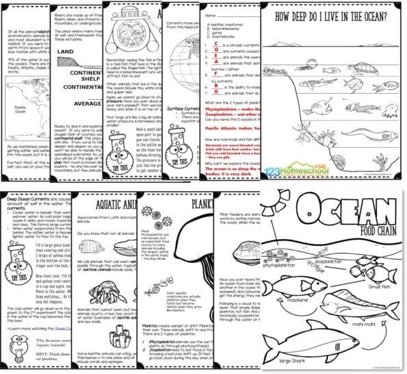 Ocean Animals UNIT - 123 Homeschool 4 Me