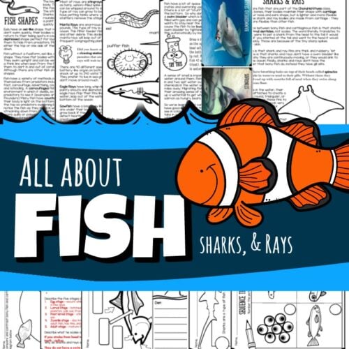 🐠 All About Fish Facts for Kids Printable Reader to Color & Learn