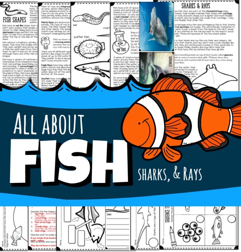 All About Fish, Sharks, and Rays - 123 Homeschool 4 Me