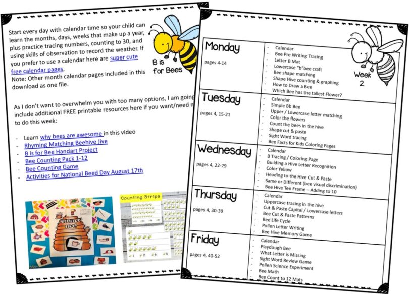 Letter B Weekly Theme