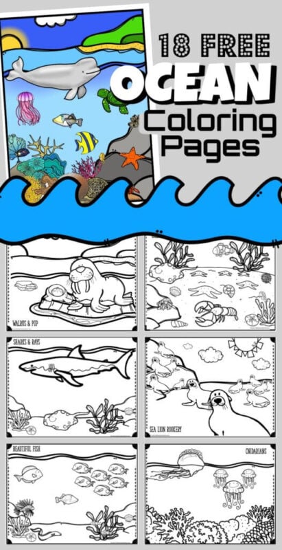 🐠 FREE FREE Printable Ocean Worksheets for Kids, Kind