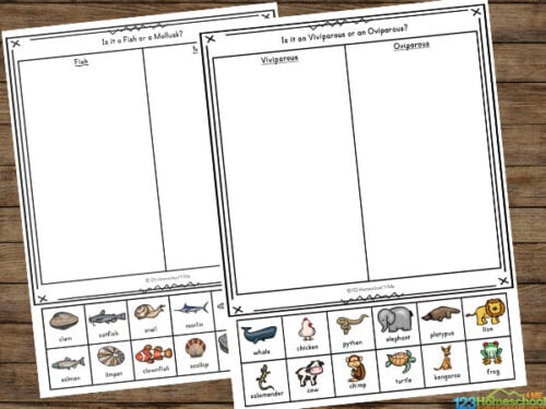 🐍 🐘 FREE Printable Animal Classification Worksheet for Kids