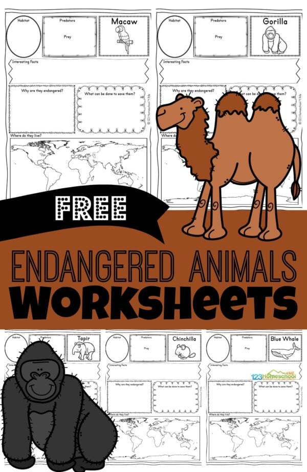 🦁 FREE Printable Jungle Animal Creative Writing Prompts