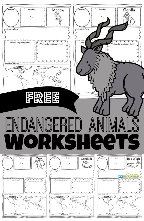 🐘🦜🦍Animal Science for kids - Worksheets, Experiments, & Activities