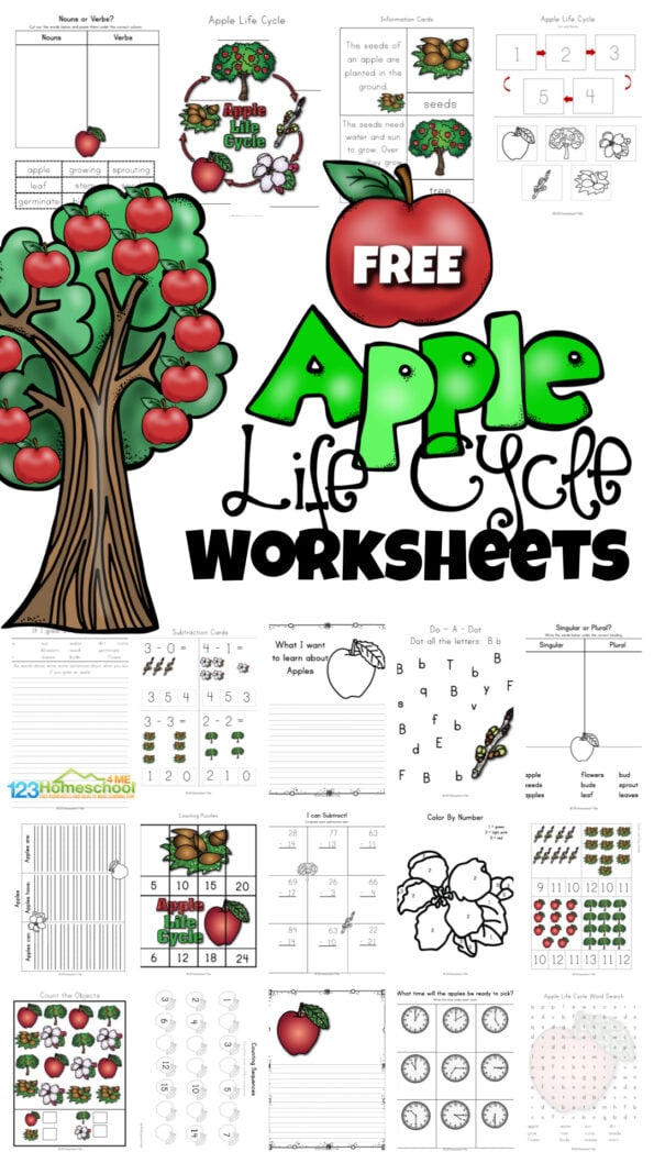 🍎 FREE Printable Apple and Apple Seed Counting Worksheets