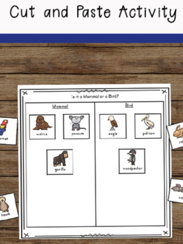 🦅 FREE Life Cycle of a Bald Eagle Worksheets