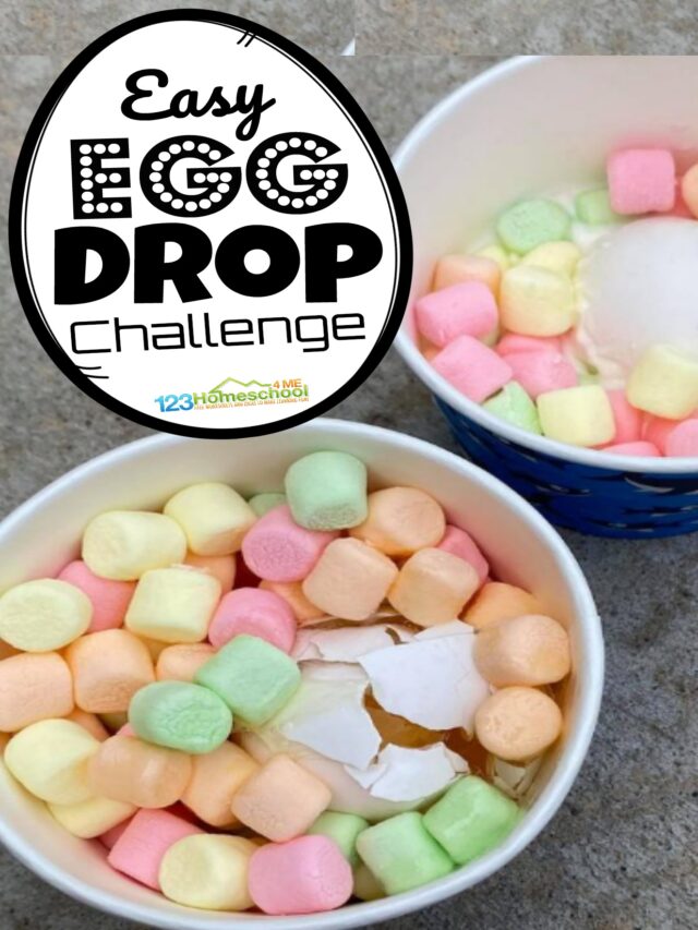 Egg Drop Experiment for Kids - 123 Homeschool 4 Me