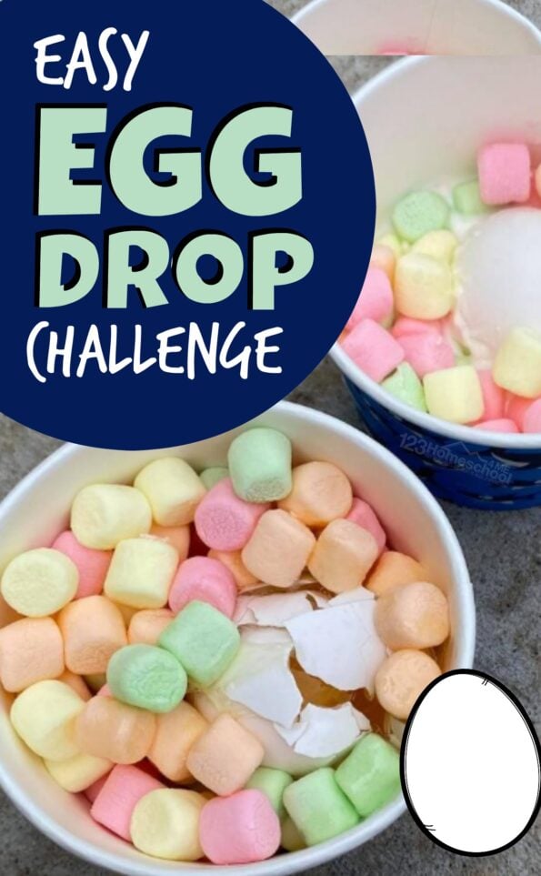 🥚 Egg Drop Challenge Project