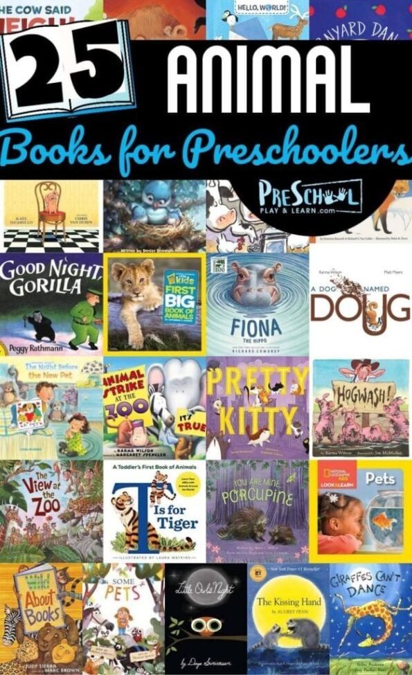 50 Amazing Zoo Animal Books for Kids