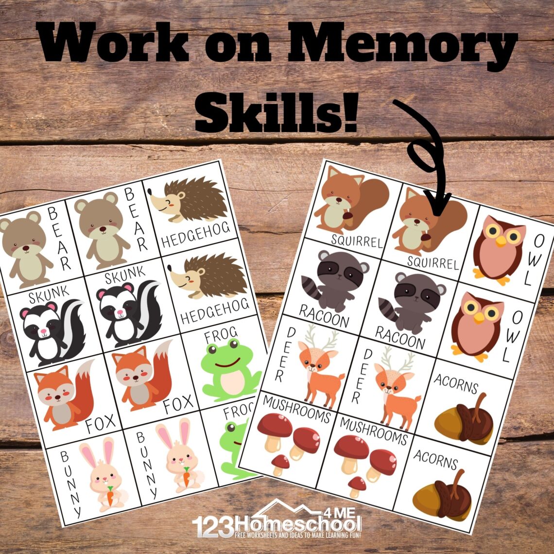 🦔🦊🦨 FREE Animal Matching Game