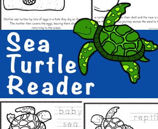 FREE Emergent Readers for Kids