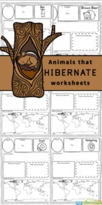🐻🦇🐸🦔 FREE FREE Printable Animals that Hibernate Worksheets
