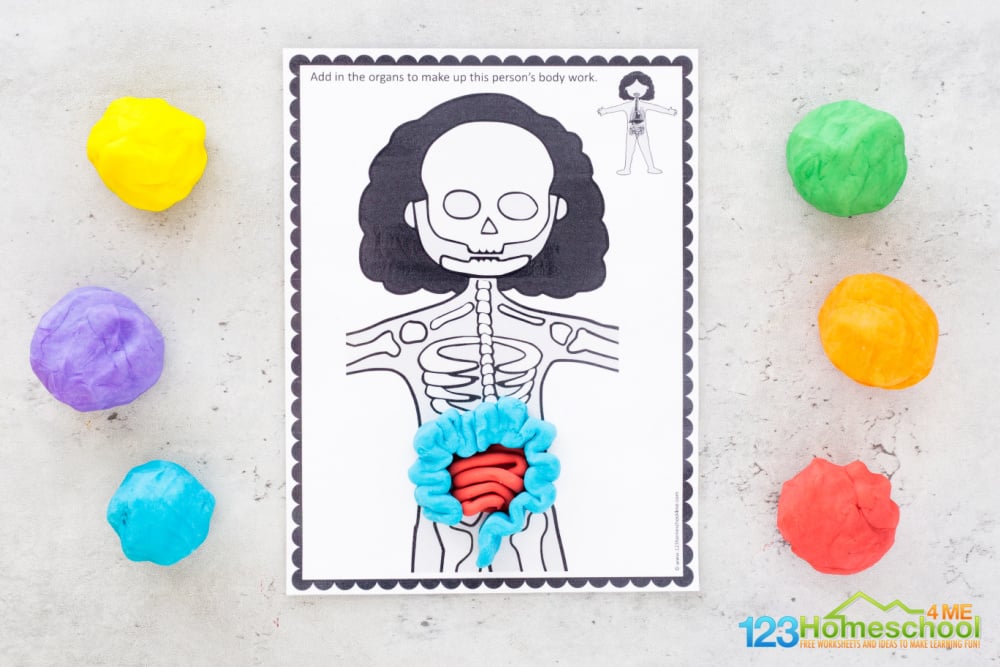 FREE Human Body Playdough Mats Printable Activity for Kids