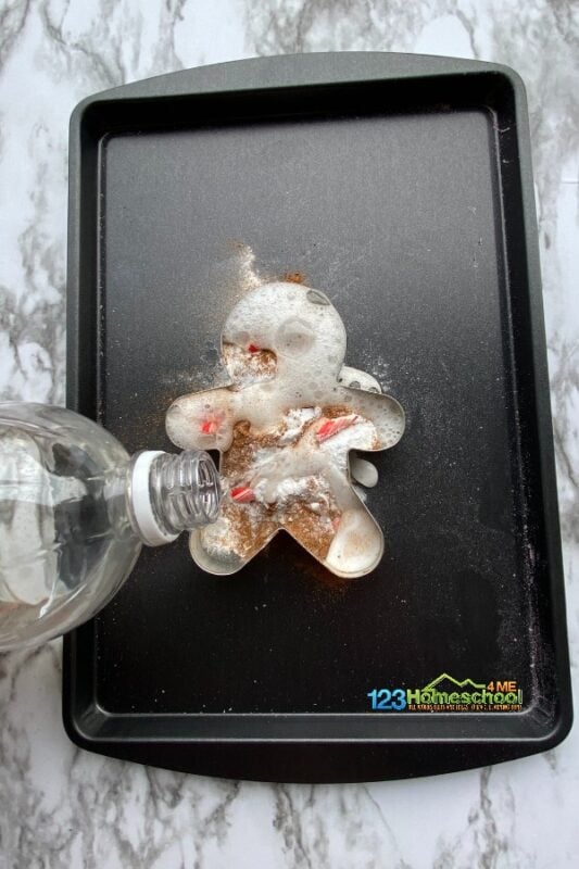 Fizzy Gingerbread Man Christmas Science Experiment