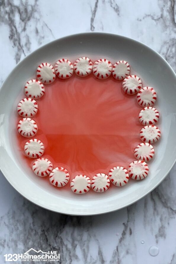 🎄 Magic Melting Peppermint Candy Christmas Science Experiment