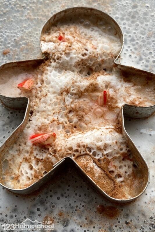 Fizzy Gingerbread Man Christmas Science Experiment