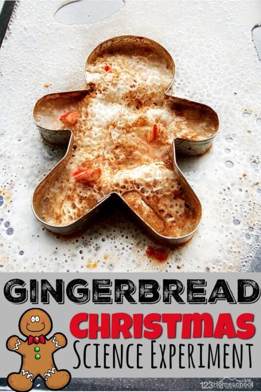 Fizzy Gingerbread Man Christmas Science Experiment