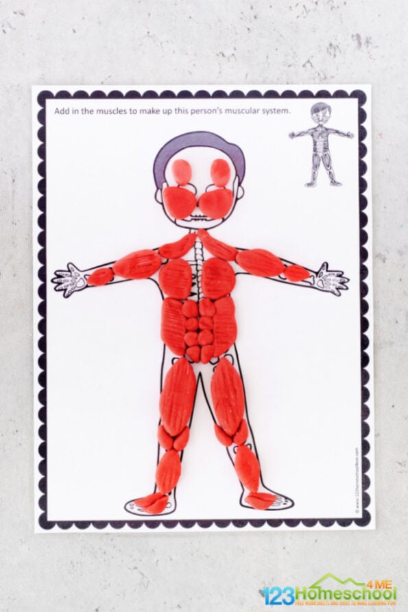 FREE Human Body Playdough Mats Printable Activity for Kids