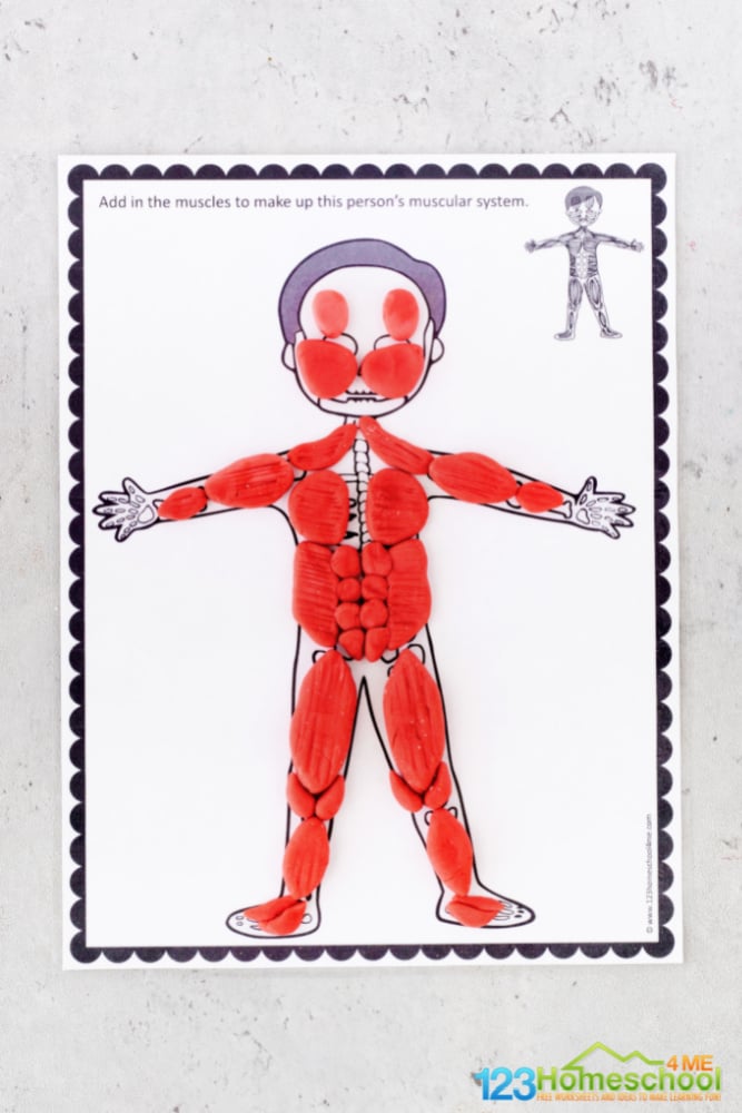 FREE Human Body Playdough Mats Printable Activity for Kids
