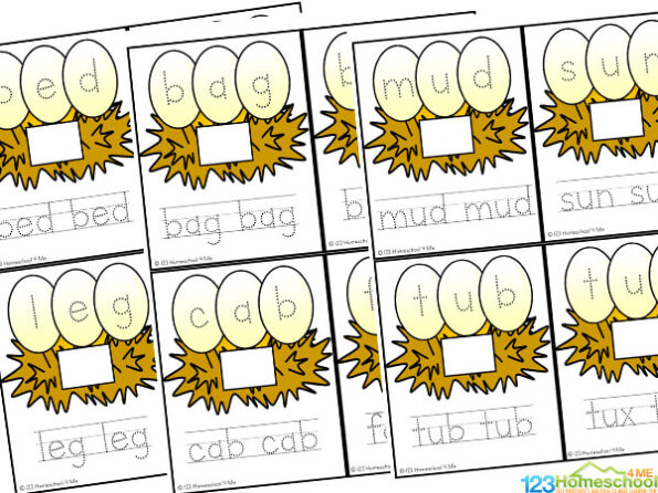 🐔 FREE Printable Farm CVC Words Activity