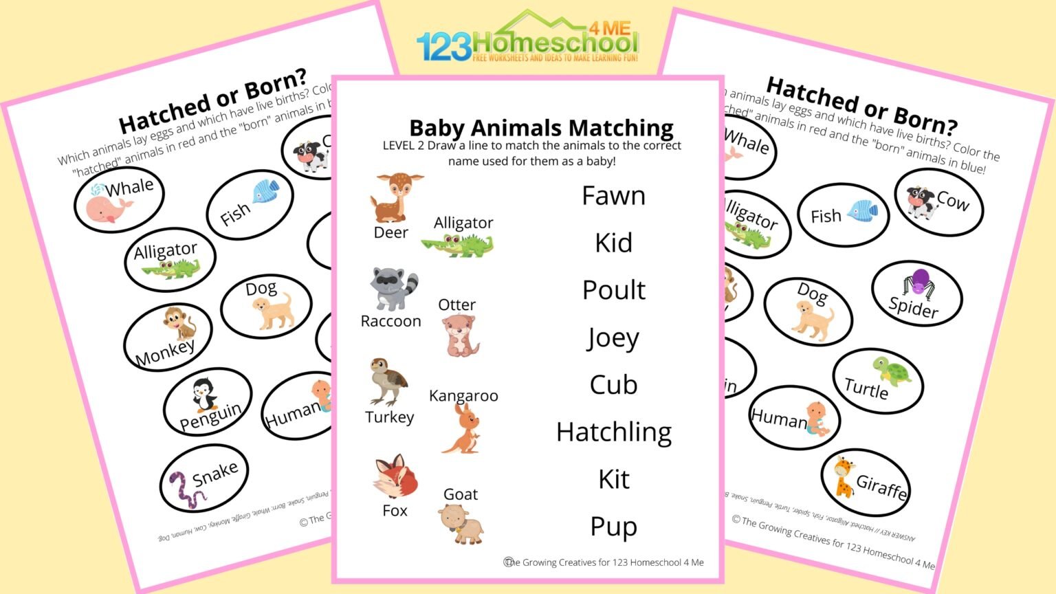 🐷 FREE Printable Baby Animals Worksheets