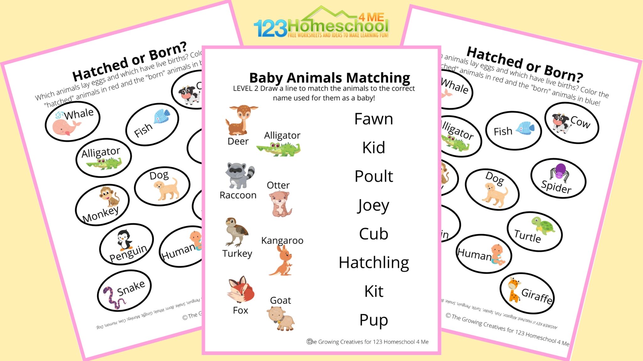 🐷 FREE Printable Baby Animals Worksheets