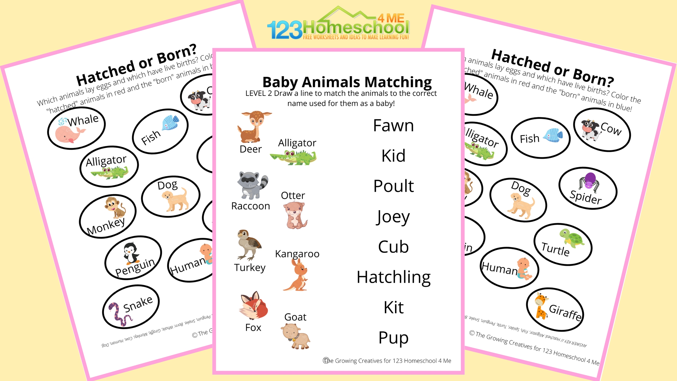 FREE Baby Animals Worksheets FREE Baby Animals Worksheets