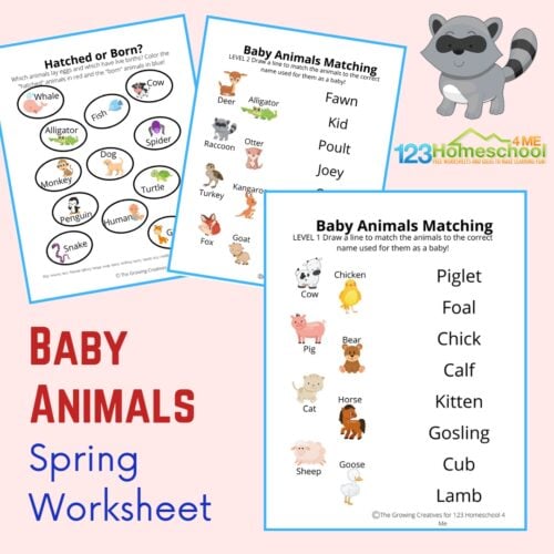 🐷 FREE Printable Baby Animals Worksheets