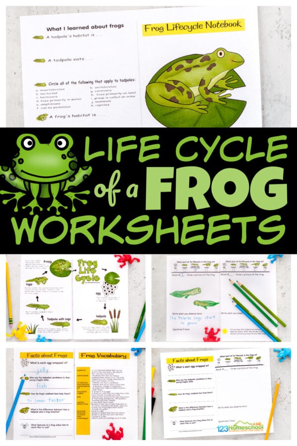 🦋 FREE FREE Printable Butterfly Life Cycle Themed Worksheets